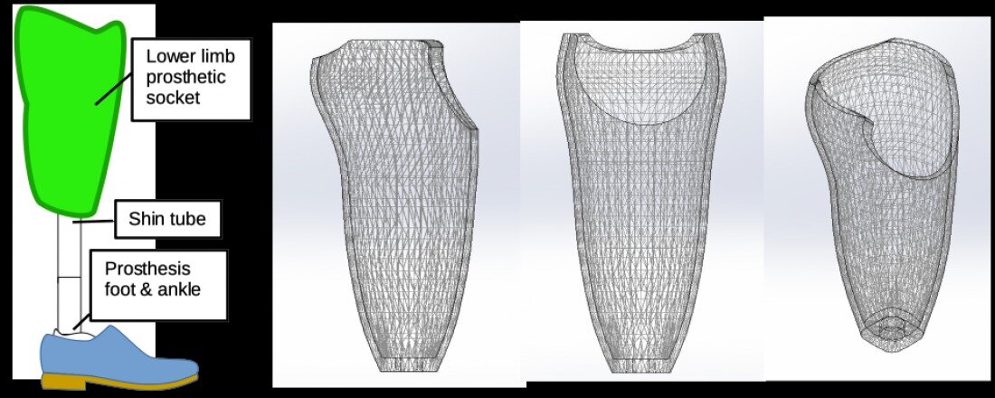 Agricultural Waste Used for Environmentally Friendly Prosthesis - The O ...