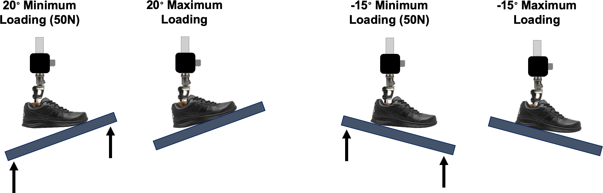 Clinicians Need Mechanical Property Data for Prosthetic Feet - The O&P ...