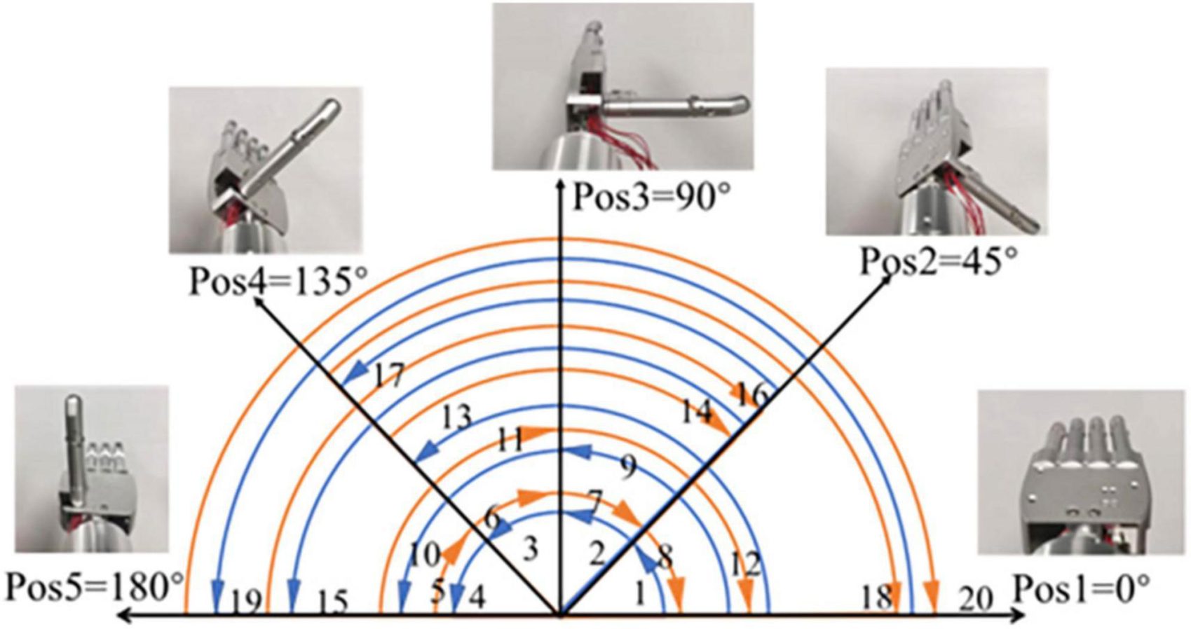 Wrist Position Feedback Improves Prosthetic Arm Control - The O&P EDGE ...