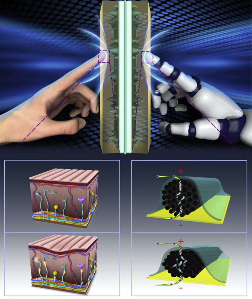 Scientists Create Prosthetic Finger With Tactile Sensitivity - The O&P EDGE Magazine
