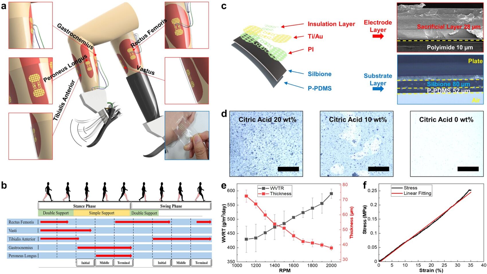 Sensor Technology for Prosthetic Leg Control Advances - The O&P EDGE ...