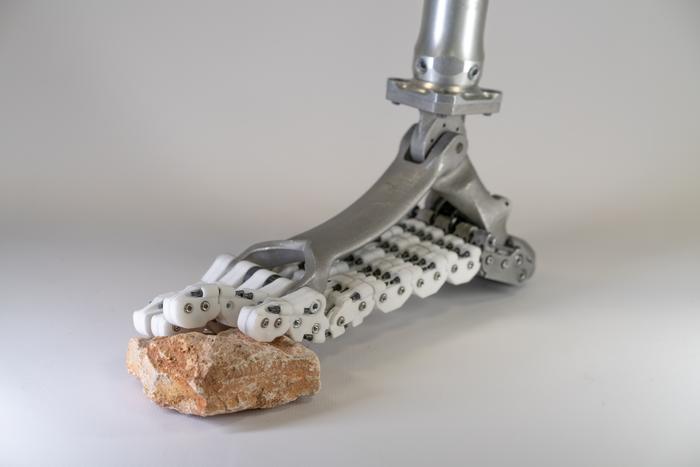 Flexible, Waterproof Prosthetic Foot Adapts to Terrain - The O&P EDGE ...